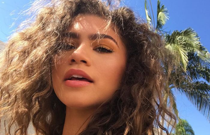 Can Zendaya do trapeze performances IRL? – LoveTravelBeauty